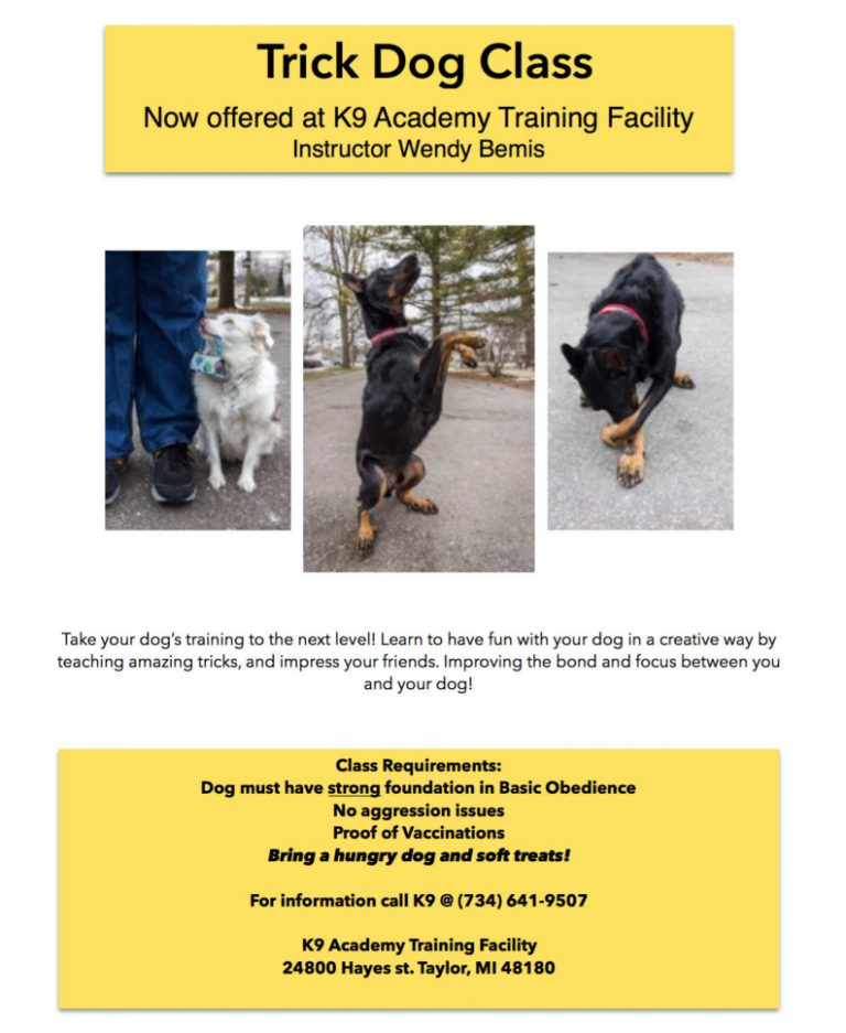 Classes & Events – K9 ATF
